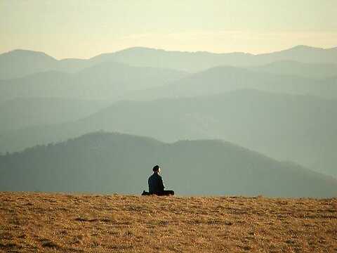 Explore & Hike Max Patch, NC! A Comprehensive Guide to the Scenic ...