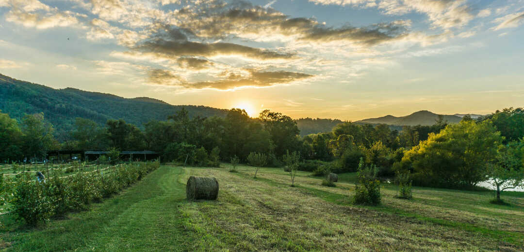 Broadwing Farm Cabins - Hot Springs NC Travel & Visitor Information